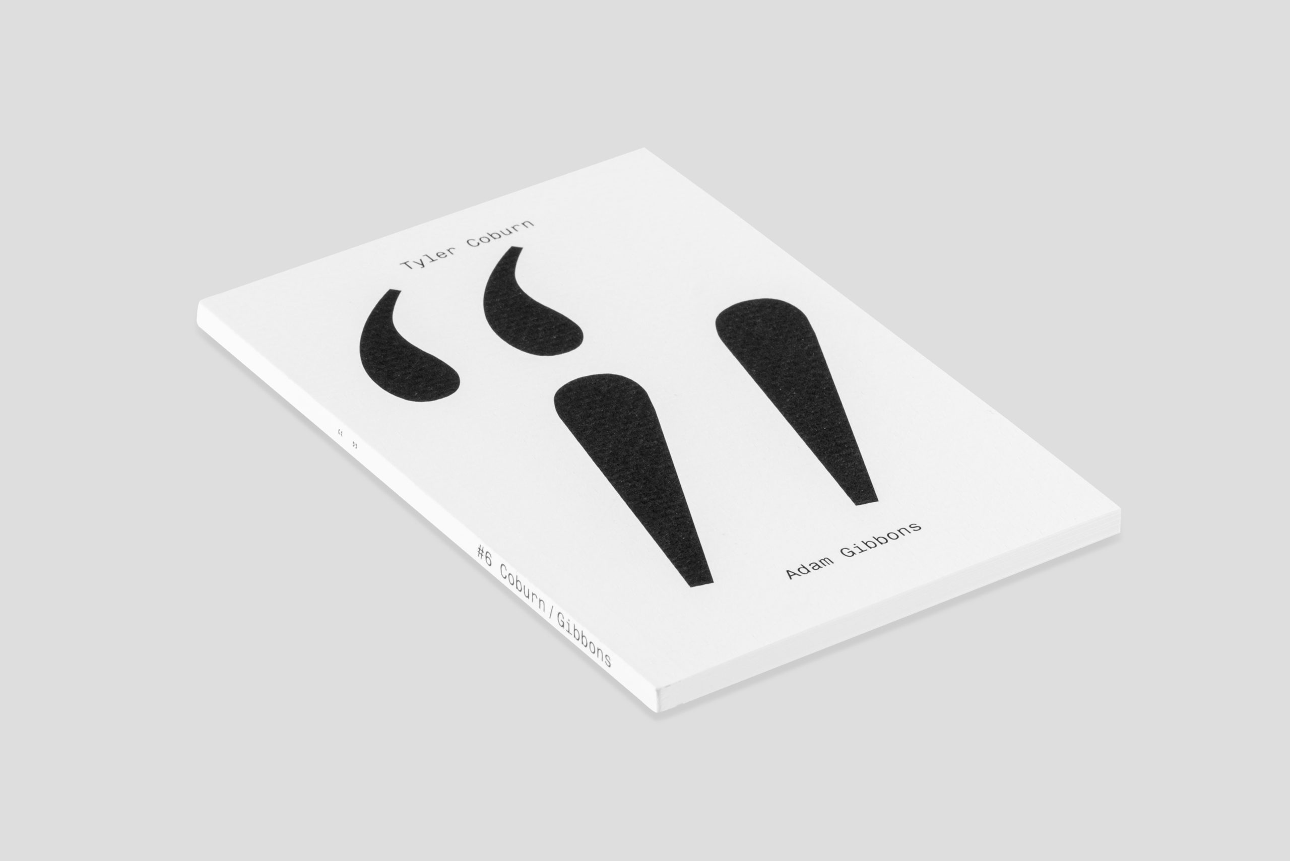 6 Tyler Coburn in conversation with Adam Gibbons | NERO Editions