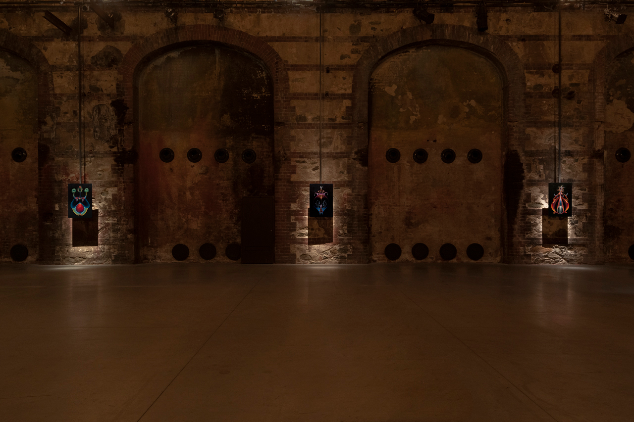 Venuses | NERO Editions