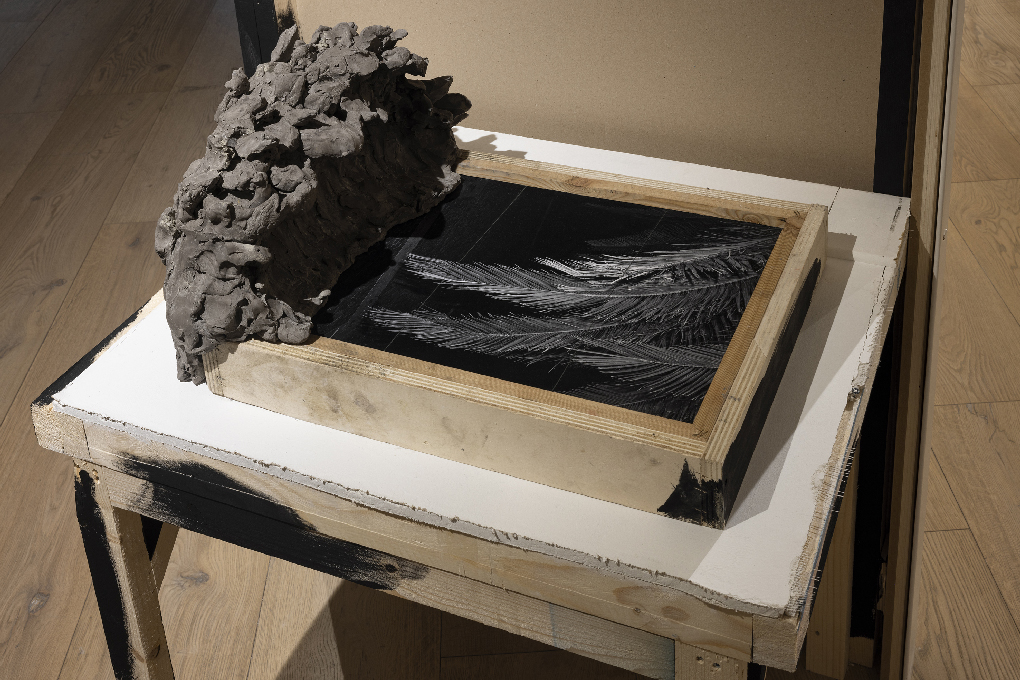 Homecoming | NERO Editions