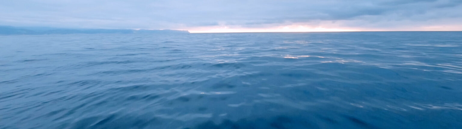 Tropicalisation of the Mediterranean | NERO Editions