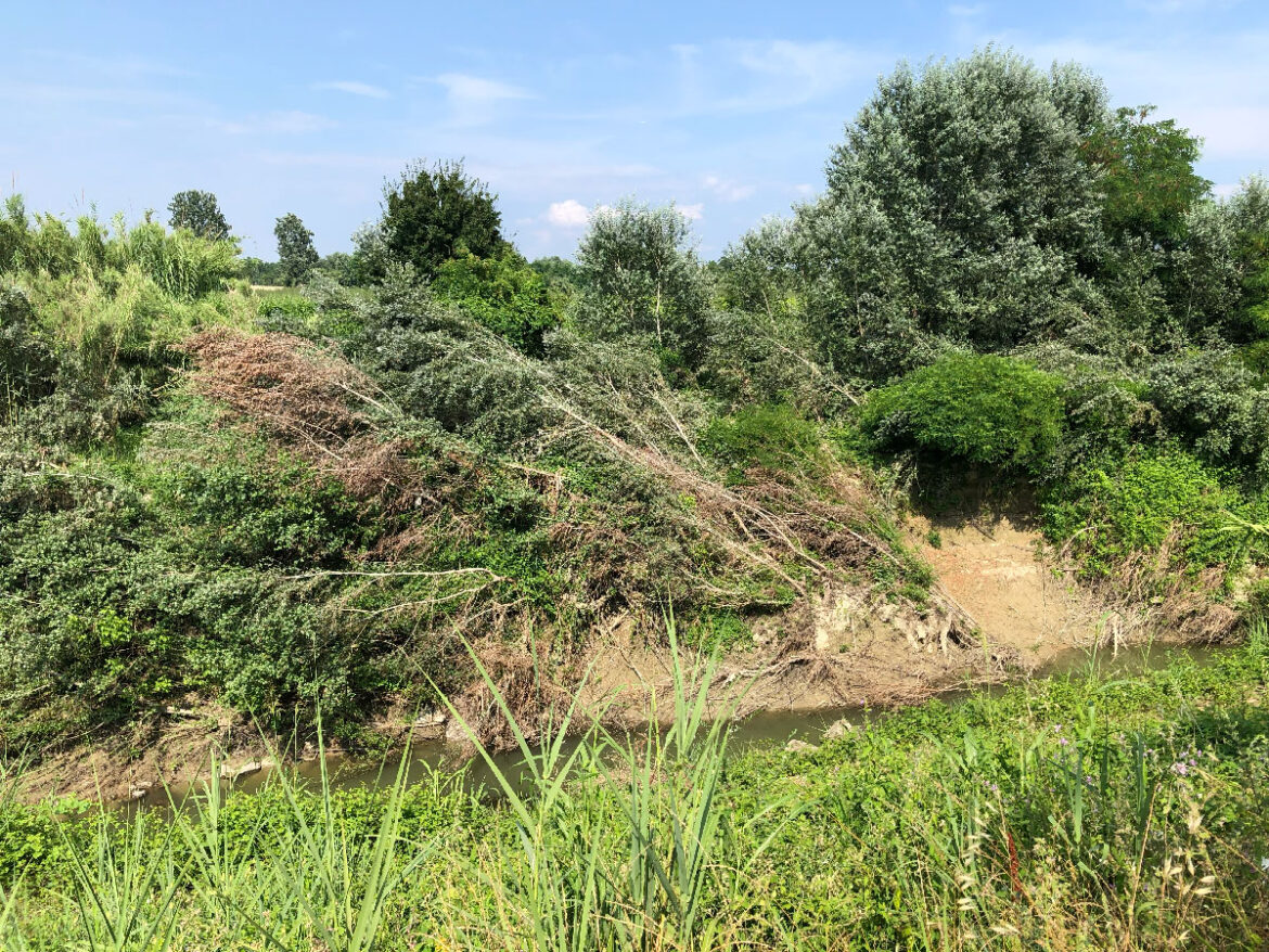 A Desert Of Water | NERO Editions