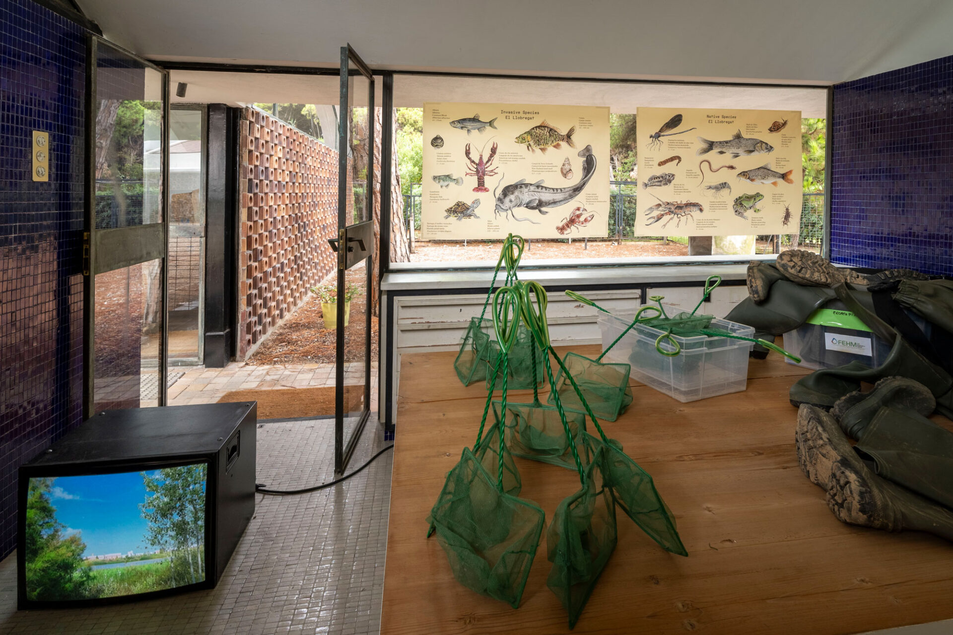 Translocal Cities | NERO Editions