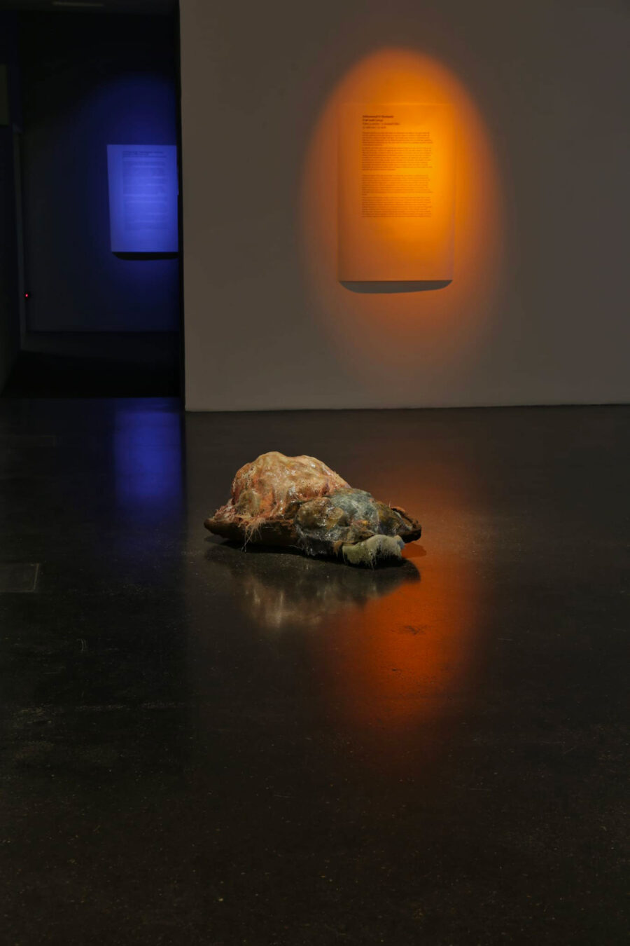 The Heretic Asserts | NERO Editions