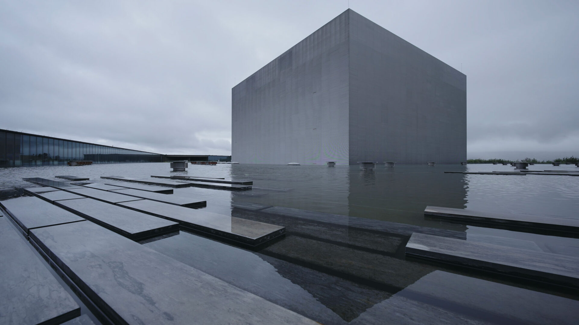 REAL | NERO Editions